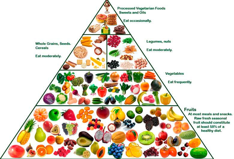 La pirámide alimenticia vegana saludable correcta y las que no lo son